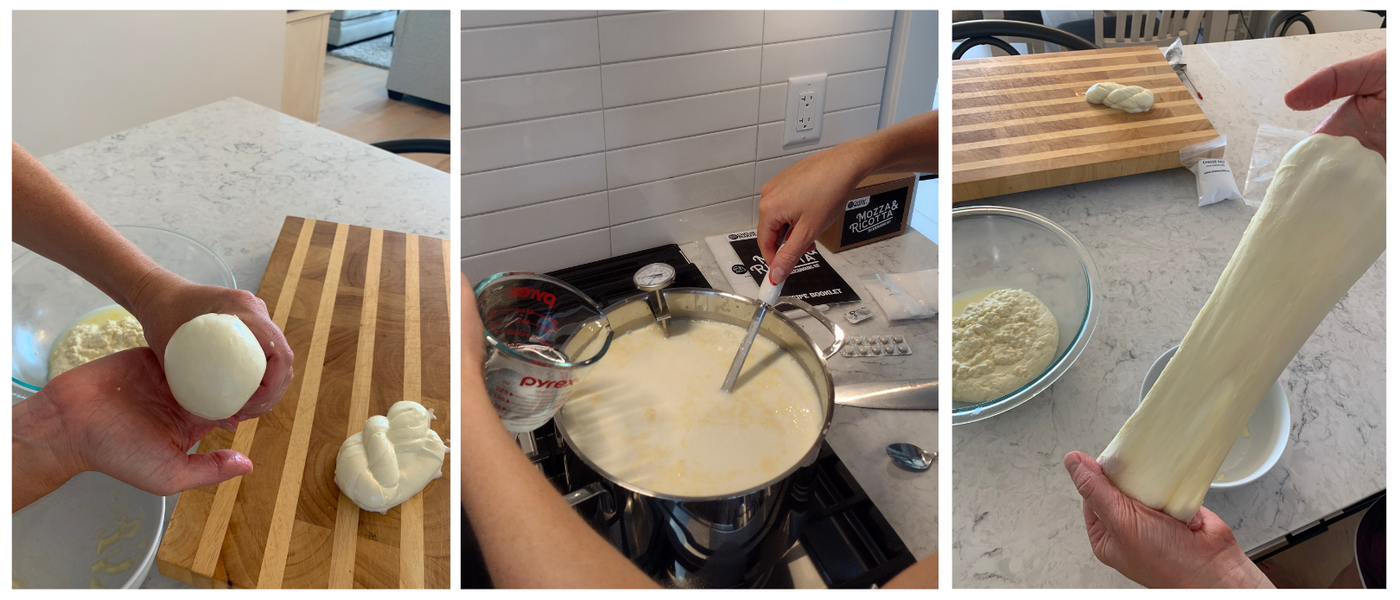 DIYCheeseMaker